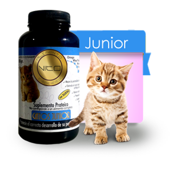 VITO GATO JUNIOR 300 GR – Rincón de las mascotas